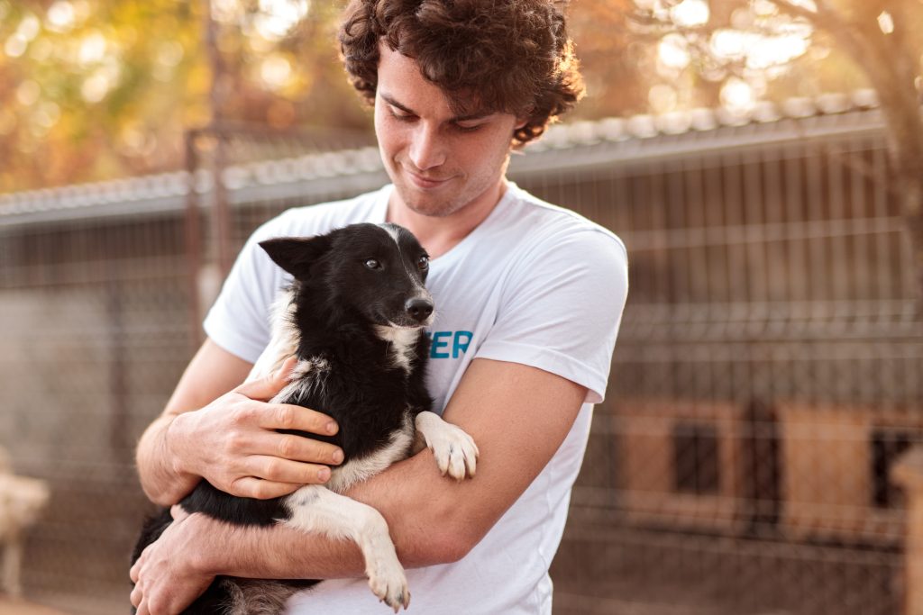 HELPING HOMELESS ANIMALS - Insurance One Group